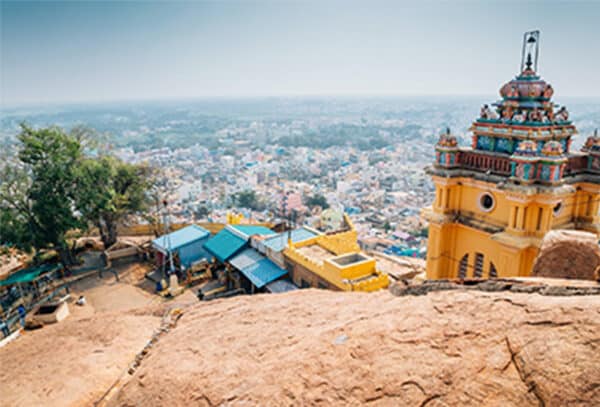 Top 7 Highest Paying Programming Languages in 2023- to know